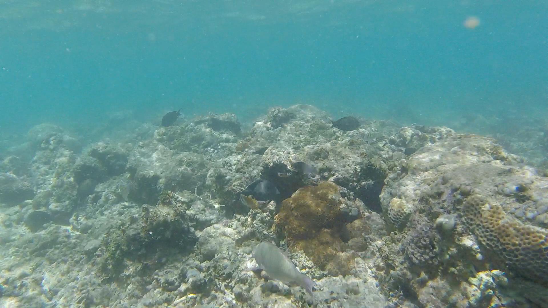 Gili Air - Ultimate Guide to an Island Escape - Erika's Travelventures