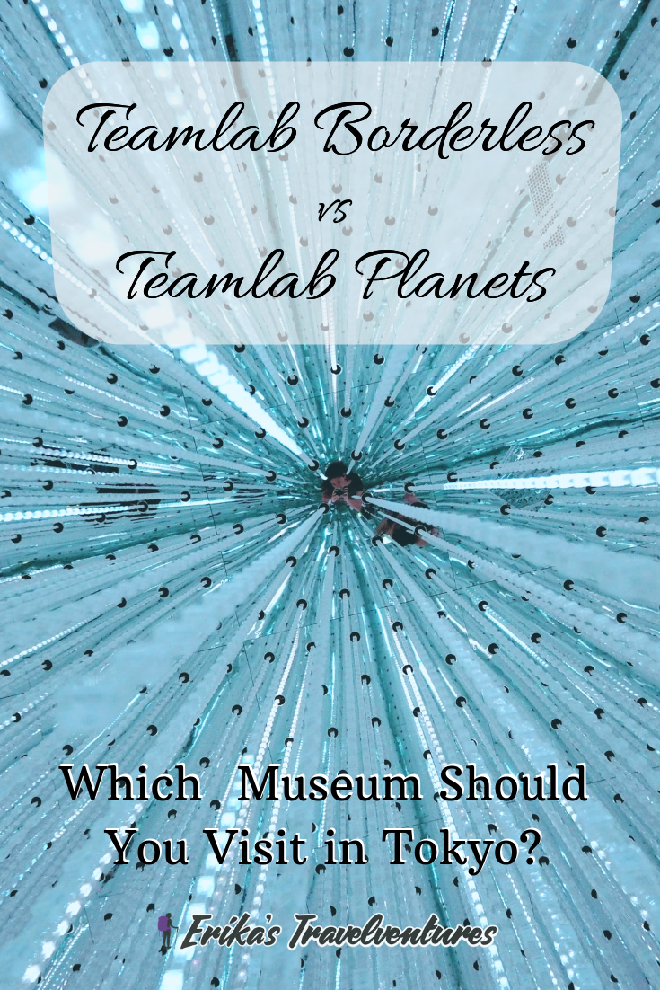 Teamlab Borderless vs Teamlab Planets: Which Is Better? - Erika's ...