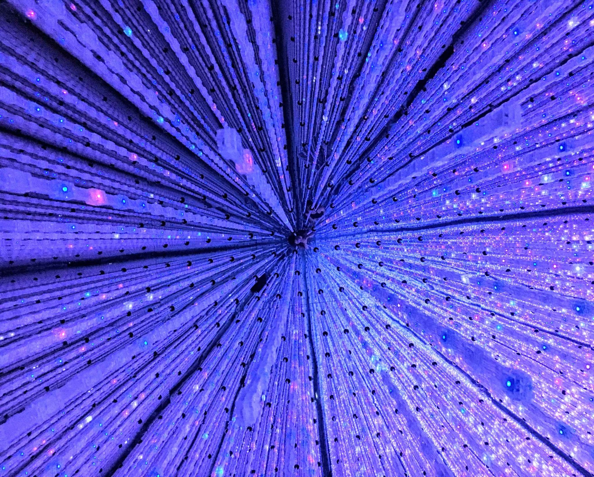 Teamlab Borderless vs Teamlab Planets: Which Is Better? - Erika's ...