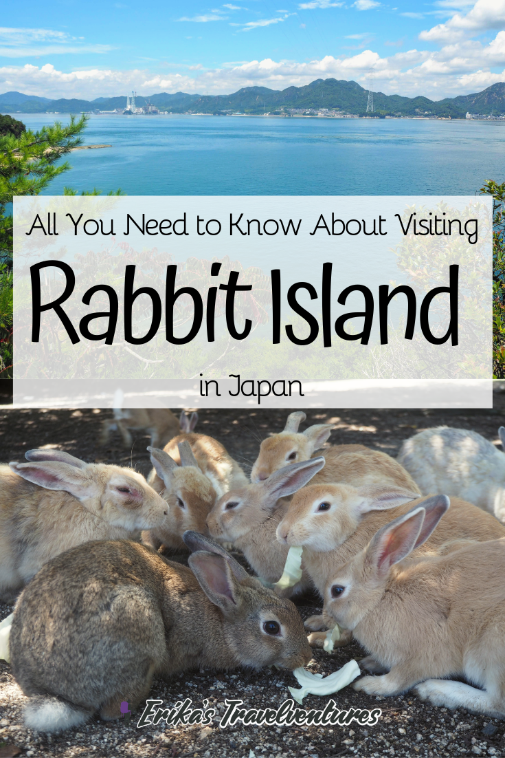 Ultimate Guide to Okunoshima, The Island of Rabbits, Japan - Erika's ...