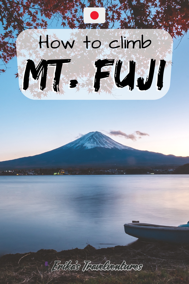 How To Climb Mt. Fuji Independently - Erika's Travelventures