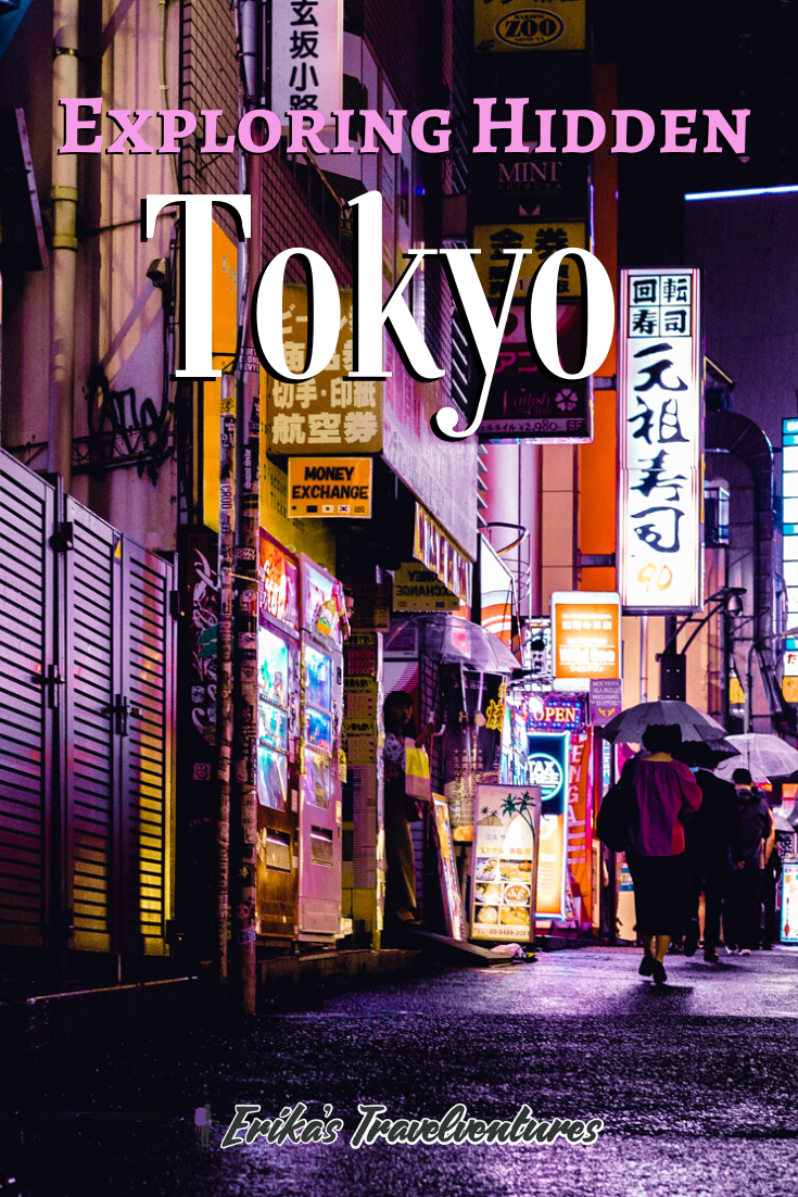20 Hidden Gems in Tokyo to go Off-The-Beaten-Path - Erika's Travelventures