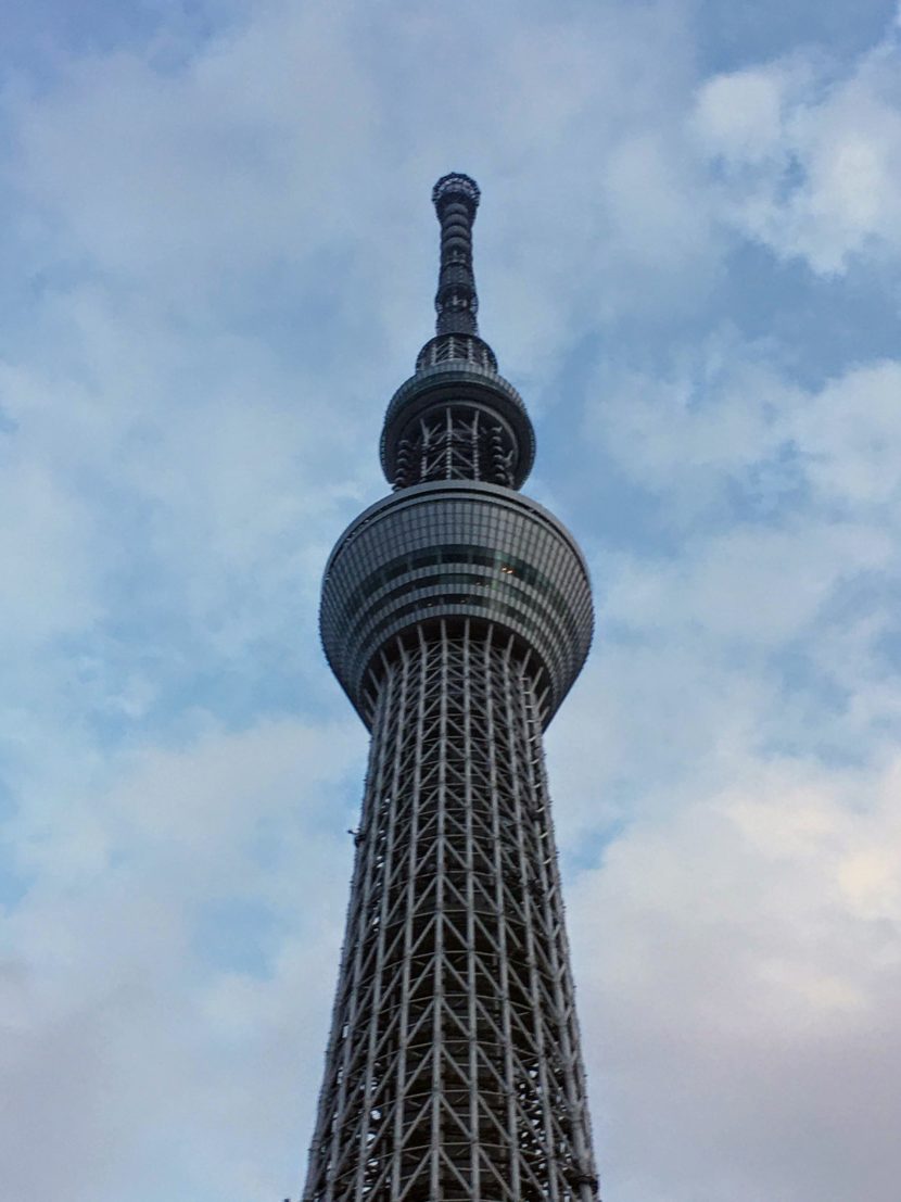 Six Amazing Tokyo Viewpoints - Erika's Travelventures