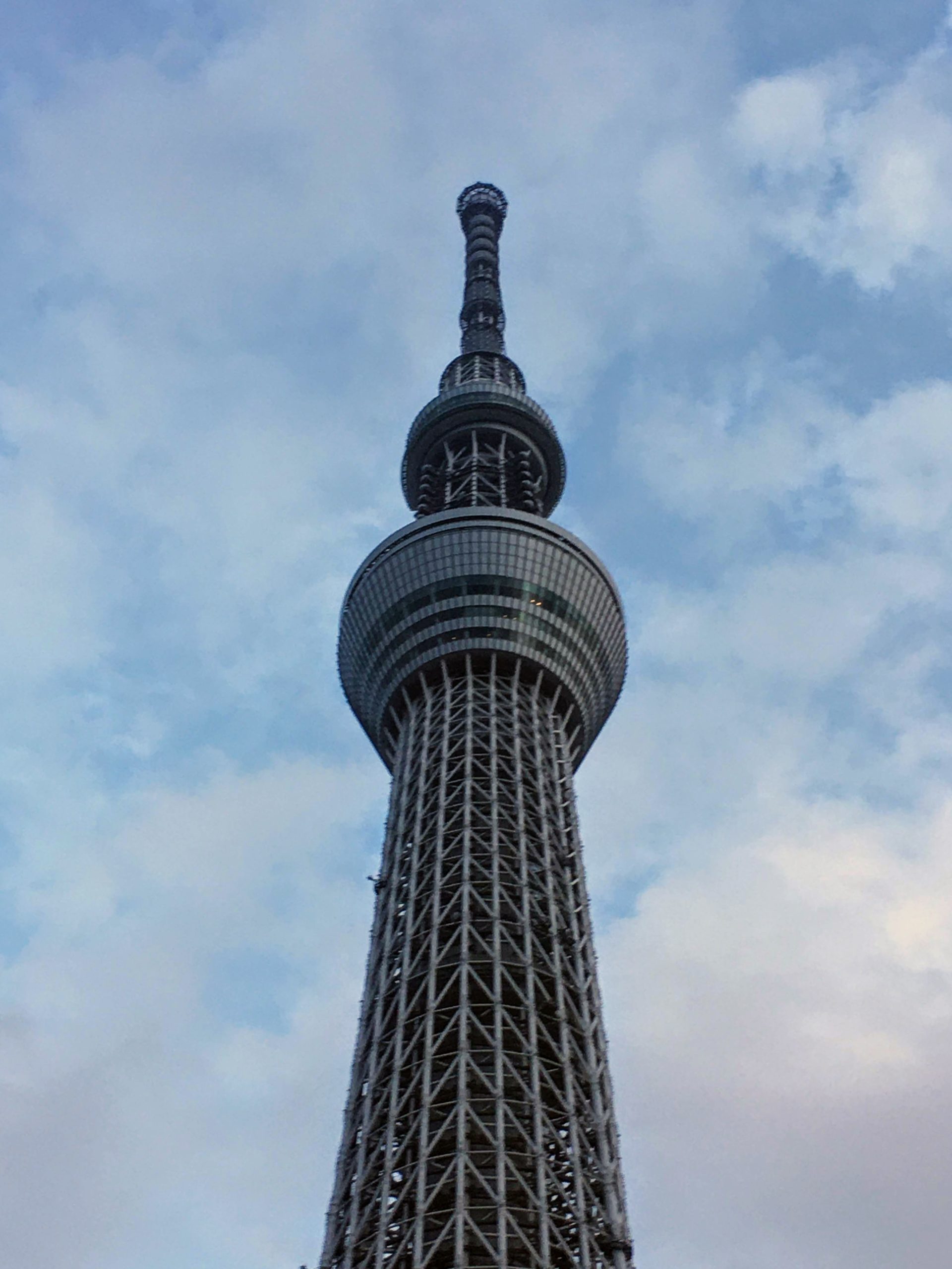 Six Amazing Tokyo Viewpoints - Erika's Travelventures