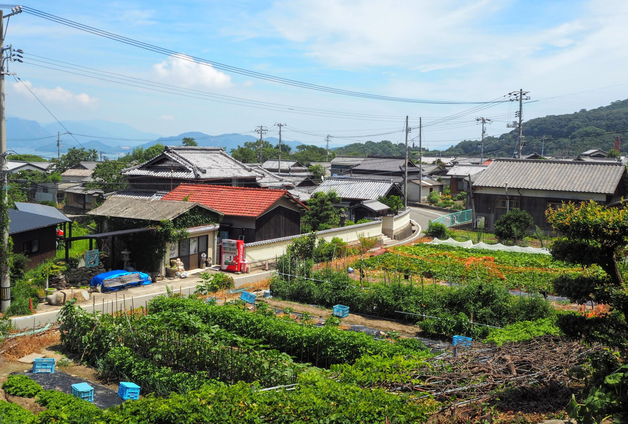 Teshima, Japan: Art Island's One Day Itinerary - Erika's Travelventures
