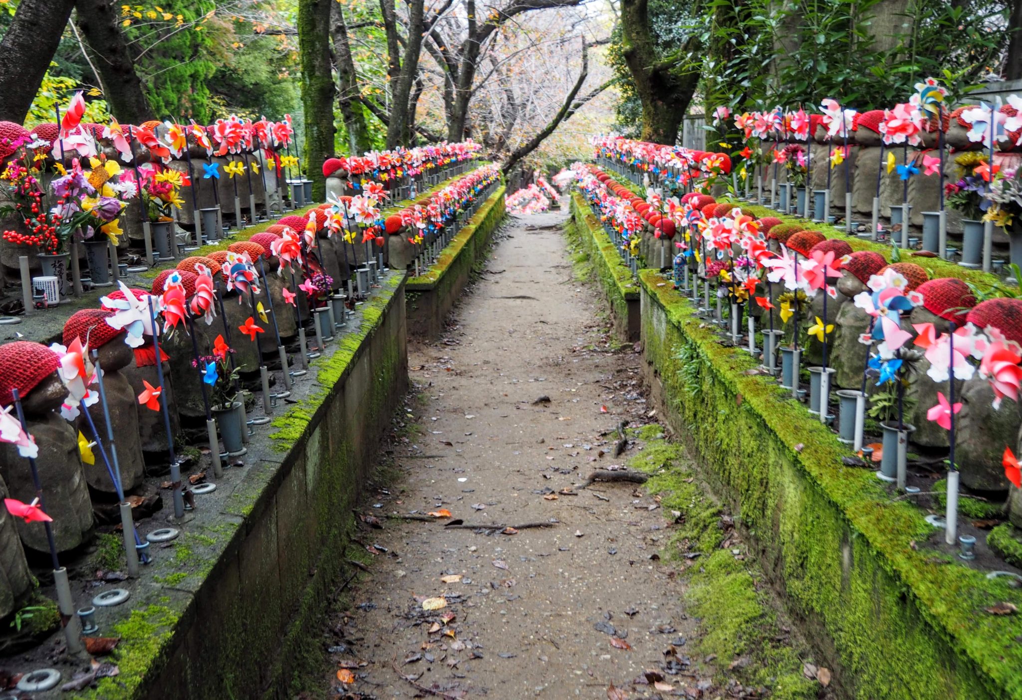 20 Hidden Gems in Tokyo to go Off-The-Beaten-Path - Erika's Travelventures