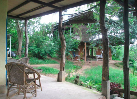 Volunteering at Pun Pun Organic Farm in Thailand - Erika's Travelventures