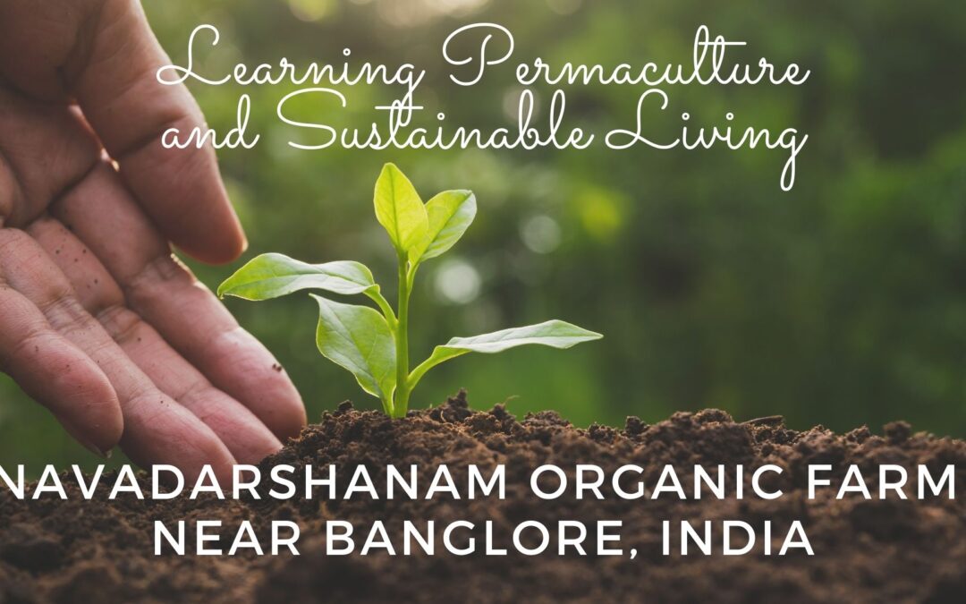 Permaculture Course at Navadarshanam, India - Erika's Travelventures