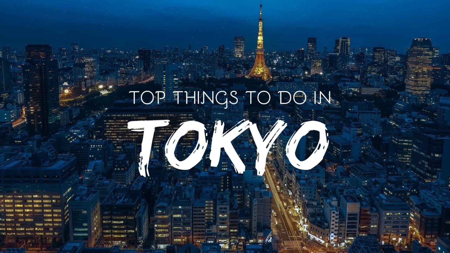 52 Weird and Unique Things To Do In Tokyo - Erika's Travelventures