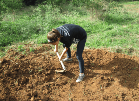 Permaculture Course at Navadarshanam, India - Erika's Travelventures