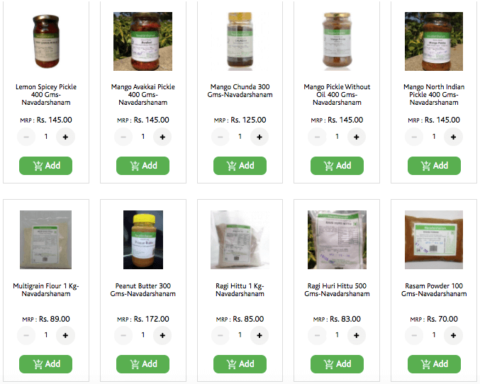 Permaculture Course at Navadarshanam, India - Erika's Travelventures