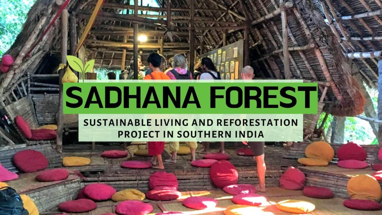 Visiting Sadhana Forest in Auroville - Erika's Travelventures
