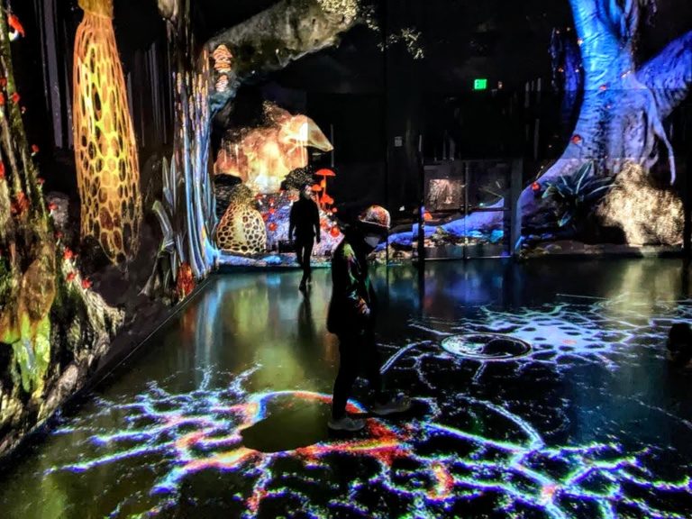 Tips for Visiting Meow Wolf in Denver - Erika's Travelventures