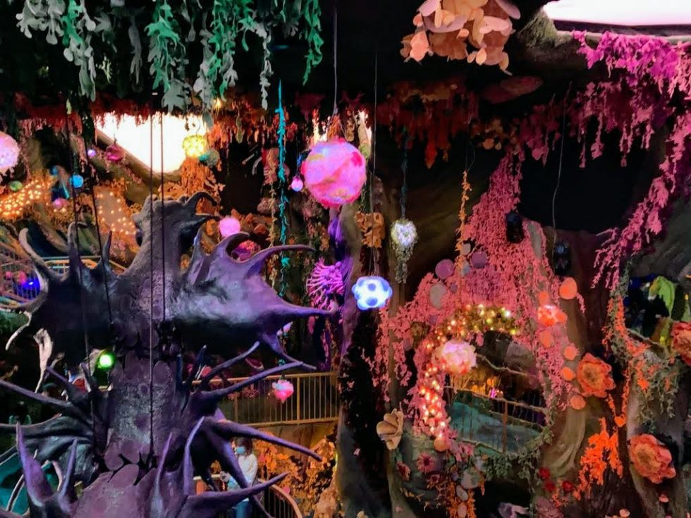 Tips for Visiting Meow Wolf in Denver - Erika's Travelventures