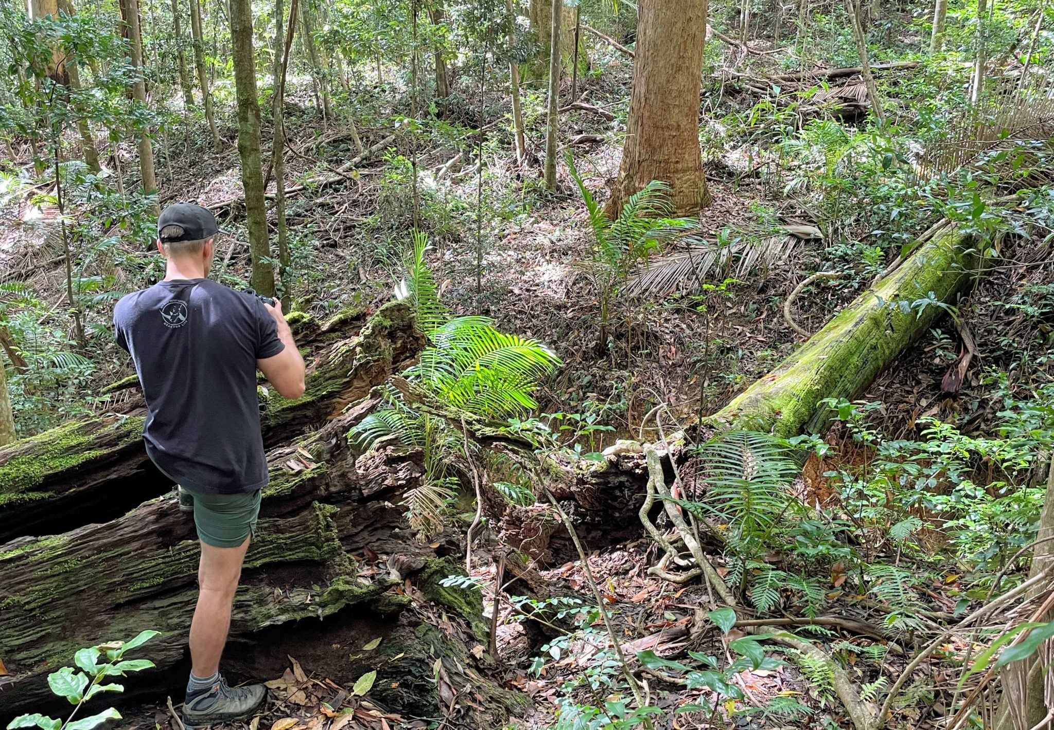 Hiking the Piper Comanche Wreck Trail in 2022 - Erika's Travelventures