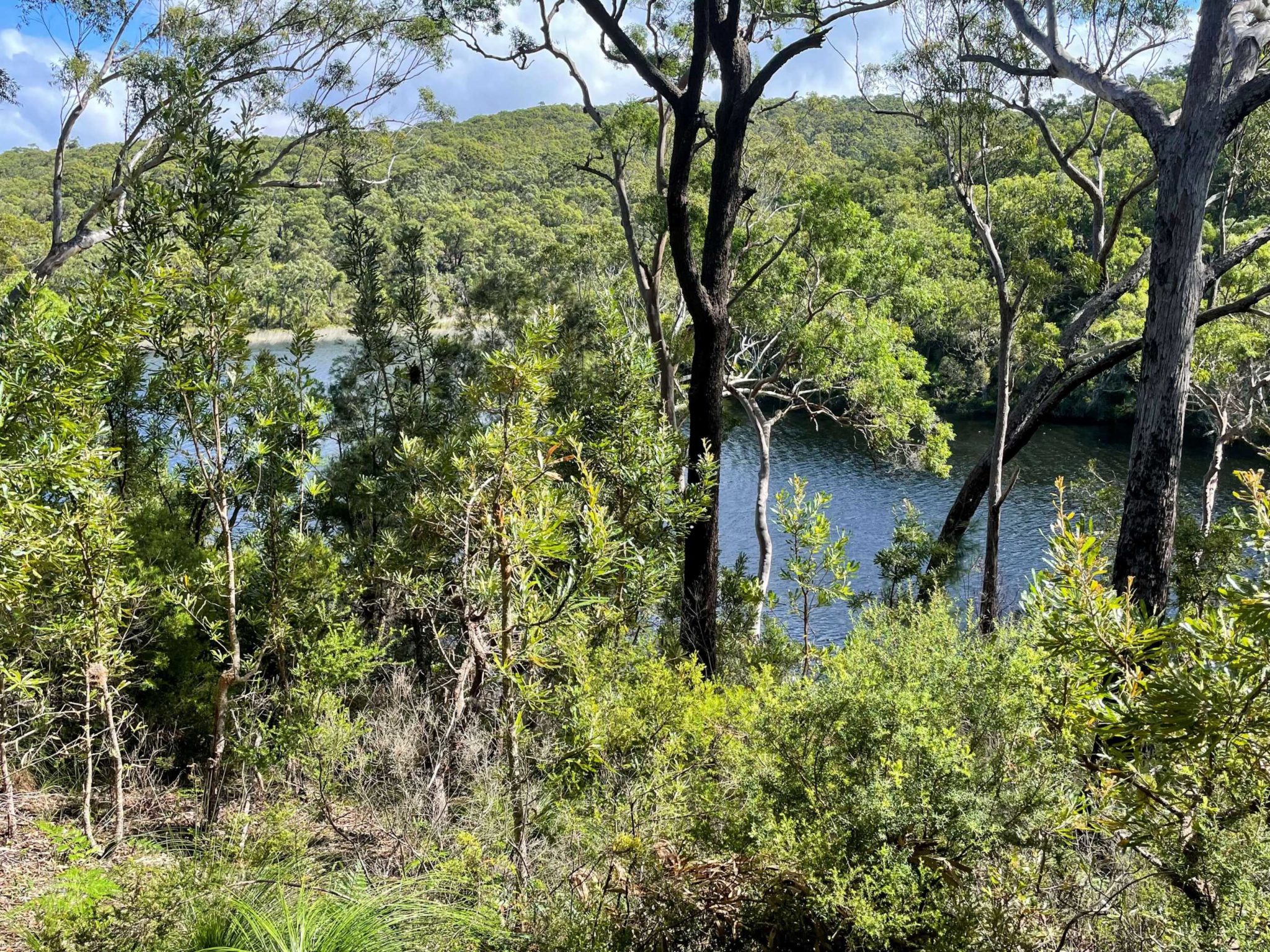 Blue Lake Kaboora Hike on North Stradbroke Island: What to Expect ...