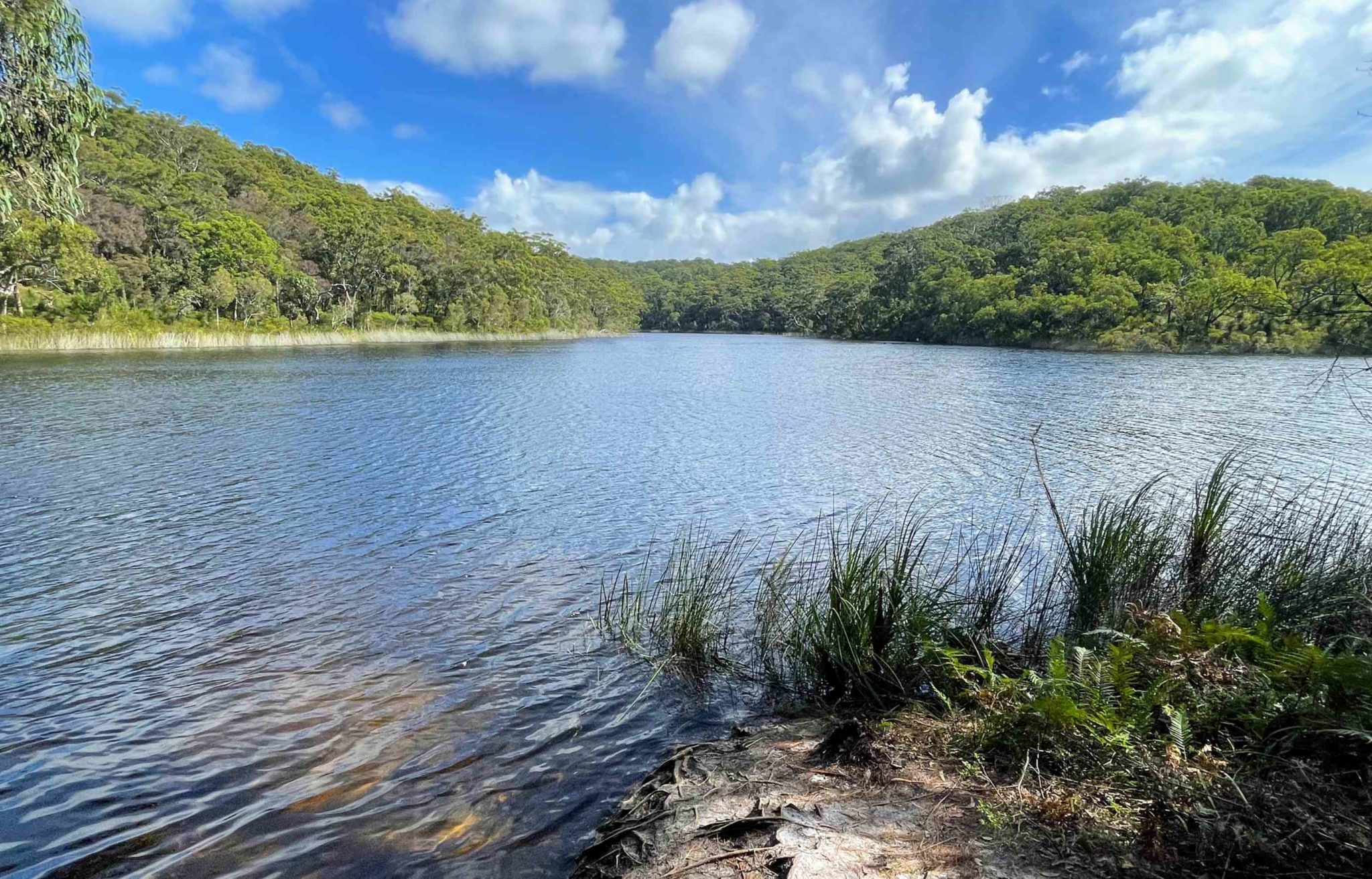 Blue Lake Kaboora Hike on North Stradbroke Island: What to Expect ...