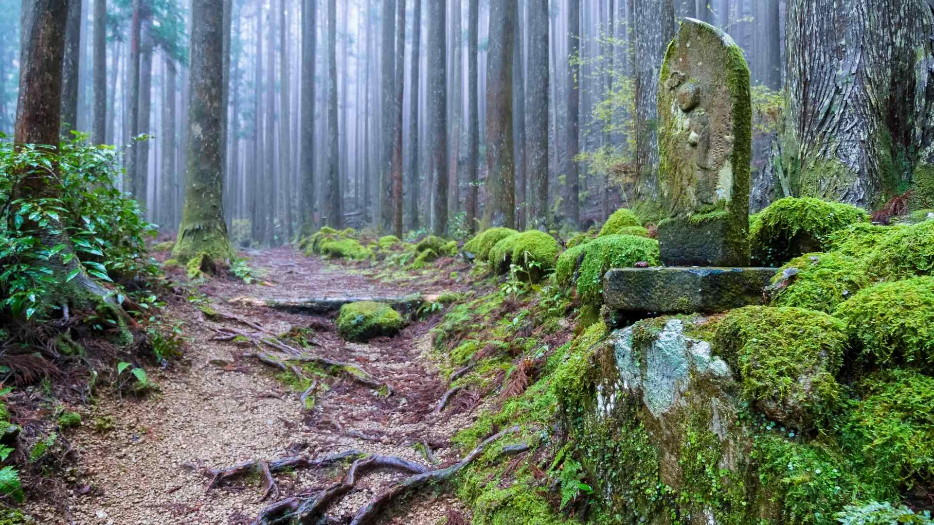 13 Best Multi-Day Hikes in Japan - Erika's Travelventures