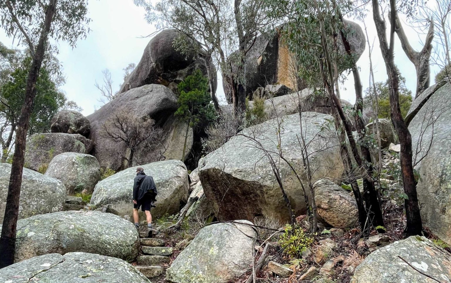 Stanthorpe 3-Day Itinerary - Erika's Travelventures