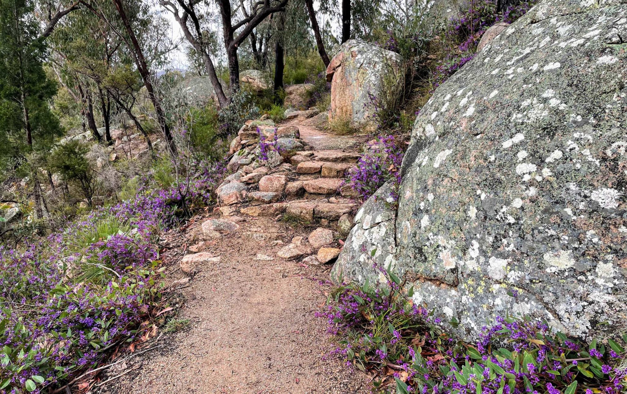 Stanthorpe 3-Day Itinerary - Erika's Travelventures