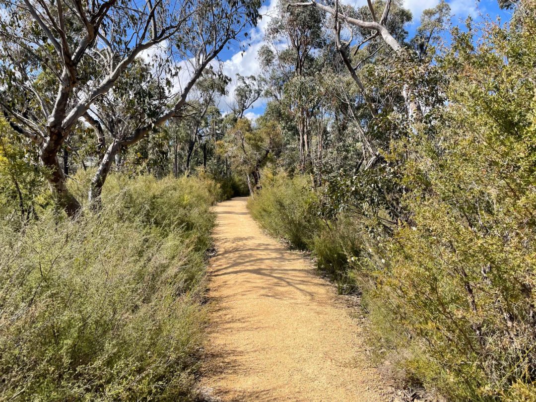 Guide to Hiking the Pyramid at Girraween National Park - Erika's ...