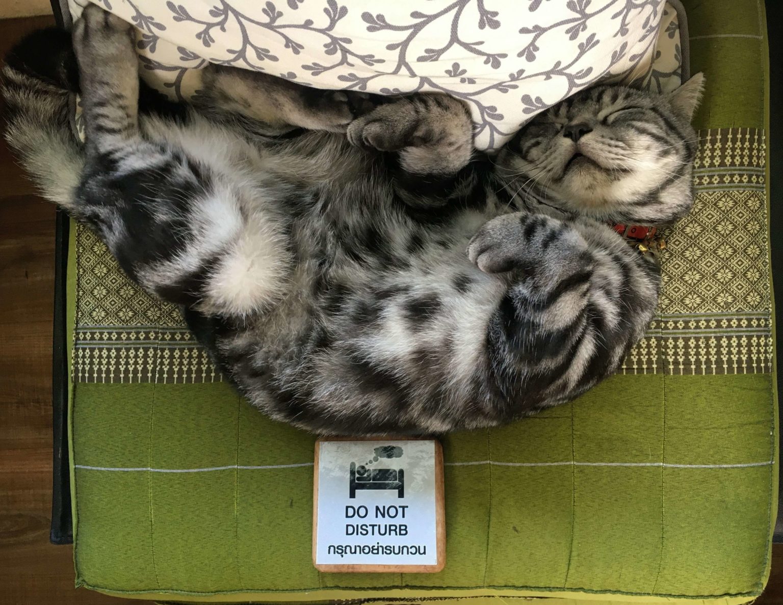 30 Cute and Kawaii Things to do in Tokyo - Erika's Travelventures