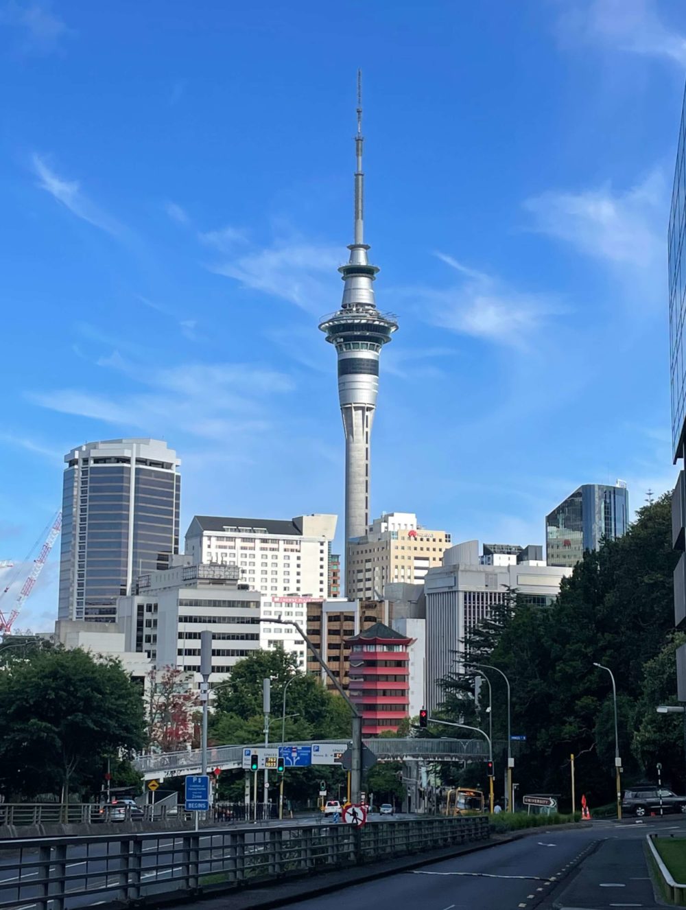 One Day in Auckland Itinerary - Erika's Travelventures