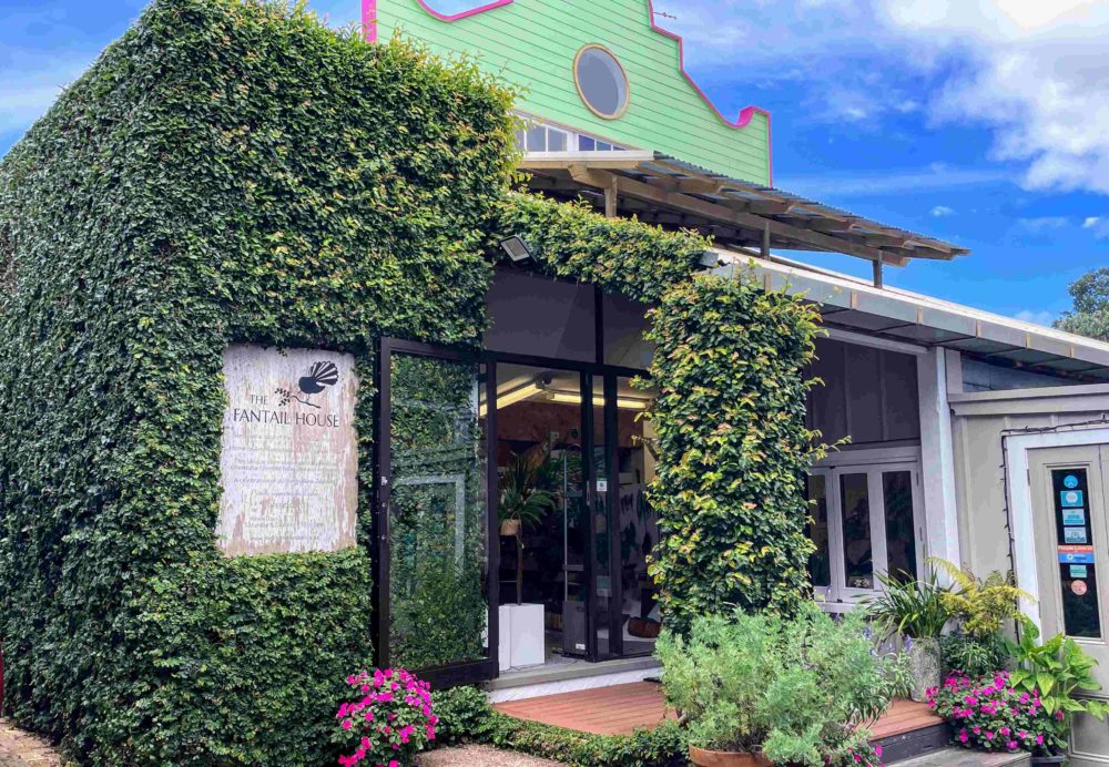 One Day in Auckland Itinerary - Erika's Travelventures