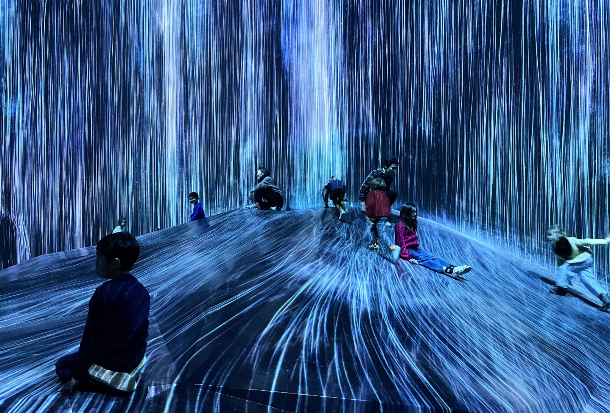 Teamlab Borderless vs Teamlab Planets: Which Is Better? - Erika's ...