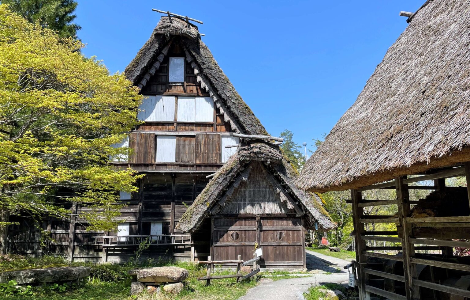 18 Ghibli Things to Do in Tokyo - Erika's Travelventures