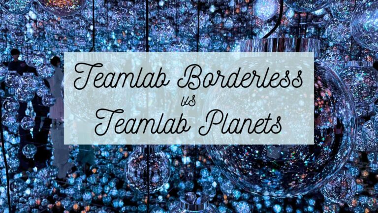 Teamlab Borderless vs Teamlab Planets: Which Is Better? - Erika's ...