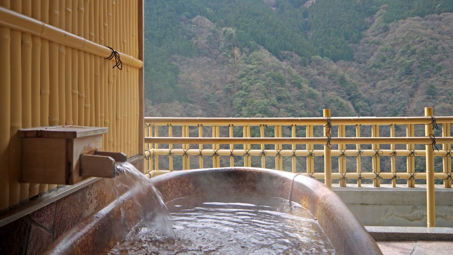 15 Best Ryokan in Hakone - Erika's Travelventures