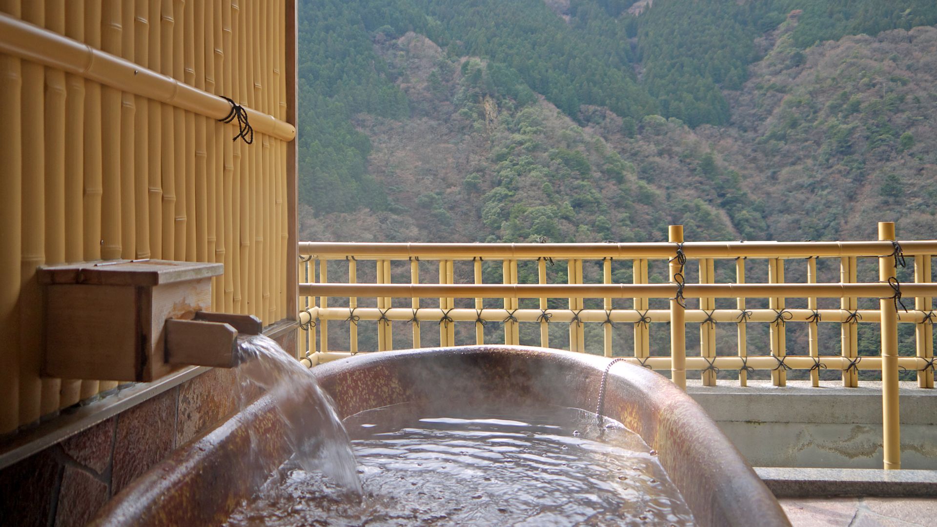 15 Best Ryokan in Hakone - Erika's Travelventures
