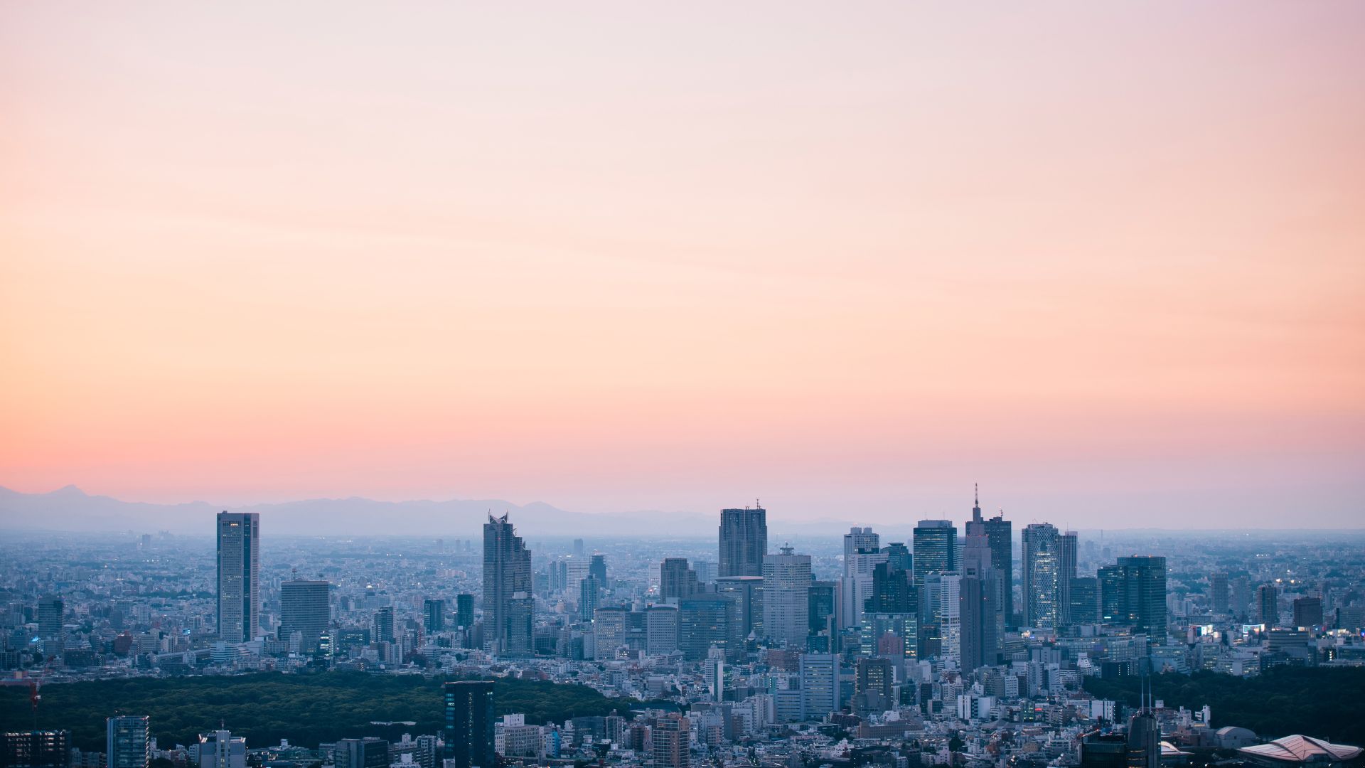 25 Cool and Unique Hotels in Tokyo - Erika's Travelventures