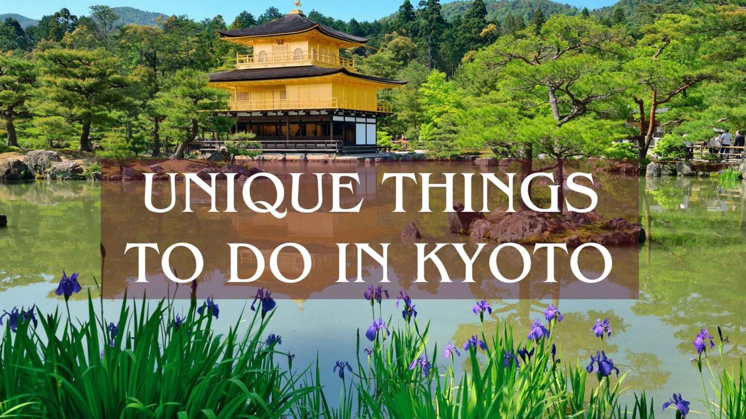 30 Unique things to do in Kyoto - Erika's Travelventures