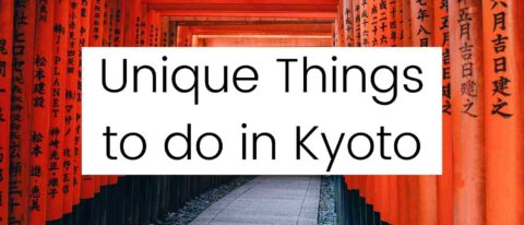 20 Hidden Gems in Tokyo to go Off-The-Beaten-Path - Erika's Travelventures